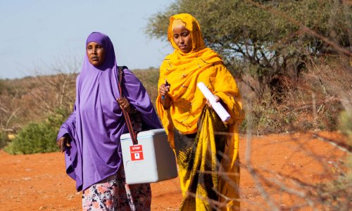 'STOPping' Poliovirus with Dedicated Volunteers